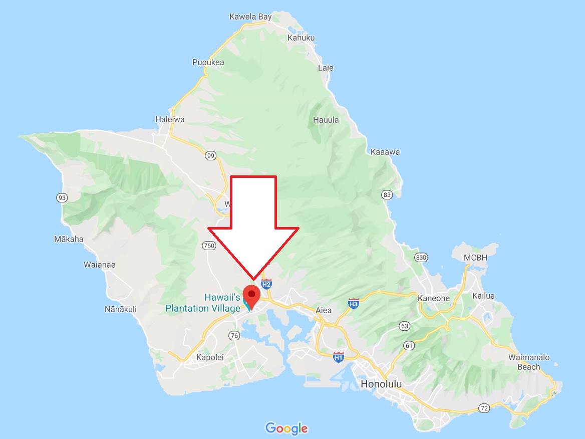 Tales From The Wise Sloth: The AK-47 Story | The Wise Sloth